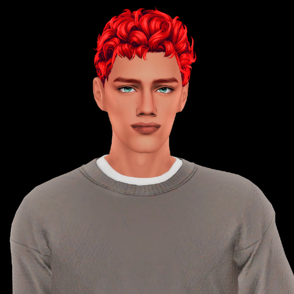 App | TheSimsTree